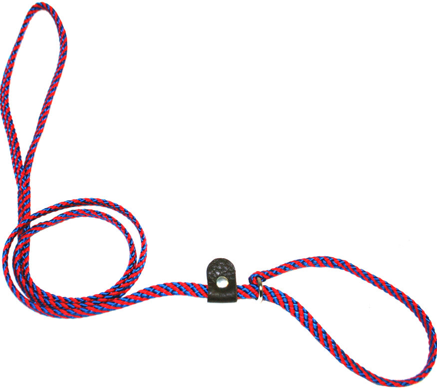 1/4" Flat Braid Slip Lead Pacific Blue/Red Spiral – The Leash Outlet